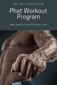 Phat Workout Routine (Layne Norton): Training Program, Results & More